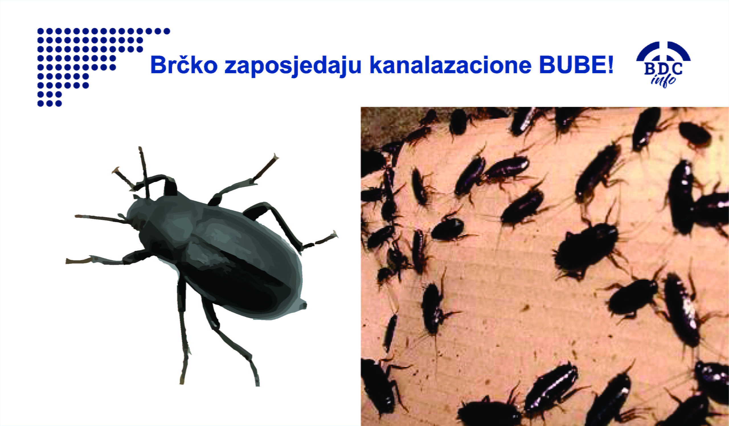 Masovne žalbe građana na najezde BUBA koje su došle sa zadnjom poplavom ...